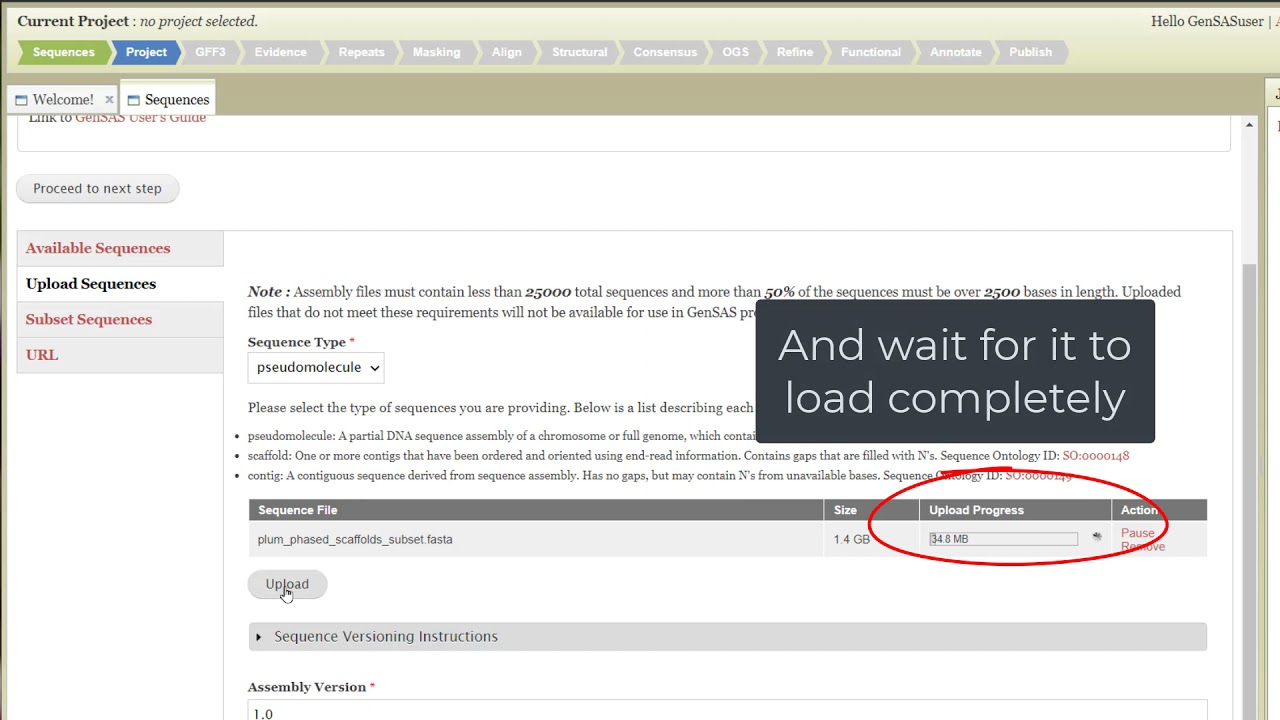 How to start a GenSAS project