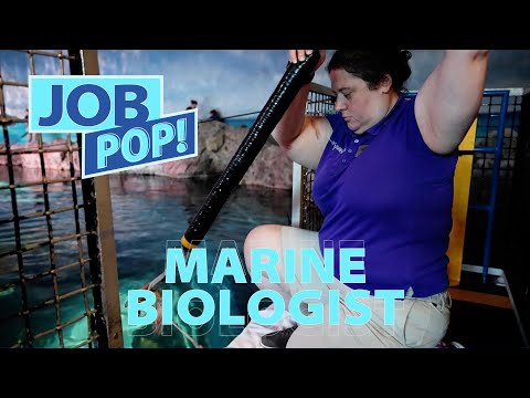 Job Pop! Marine Biologist