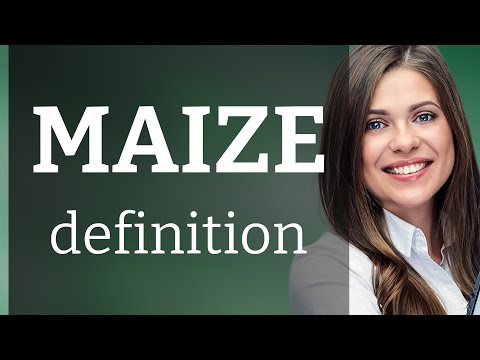 Maize — definition of MAIZE
