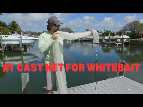 What's The Best Cast Net For Whitebait & Pinfish In Shallow Water?