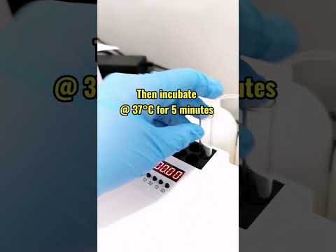 Triglycerides test procedure