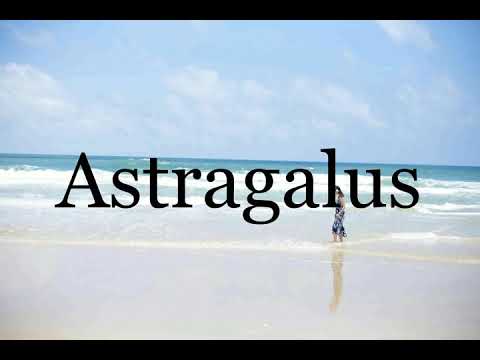 How To Pronounce Astragalus🌈🌈🌈🌈🌈🌈Pronunciation Of Astragalus