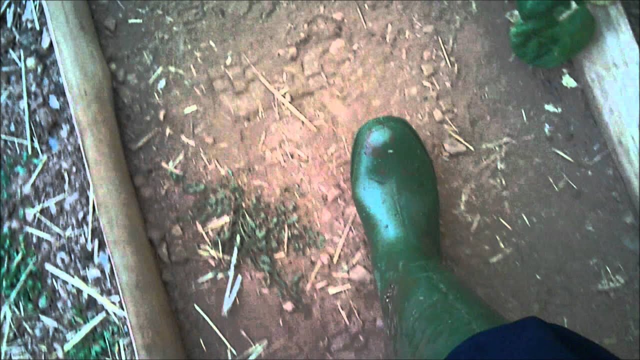 Hungry Ghost Mindful Recovery Retreat at the Barn Retreat