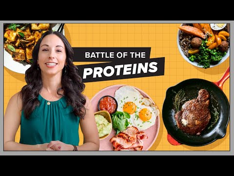 Plant Protein Vs Animal Protein: Which is Better?