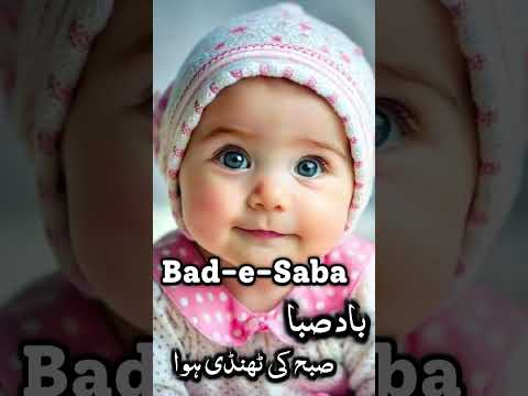Bad e saba meaning in Urdu #girlsname #shorts #islamicname