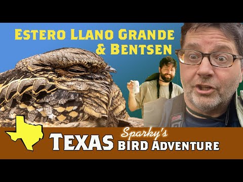 TX Birding/Bird Photography: Estero Llano Grande & Bentsen: Part 1 Rio ...