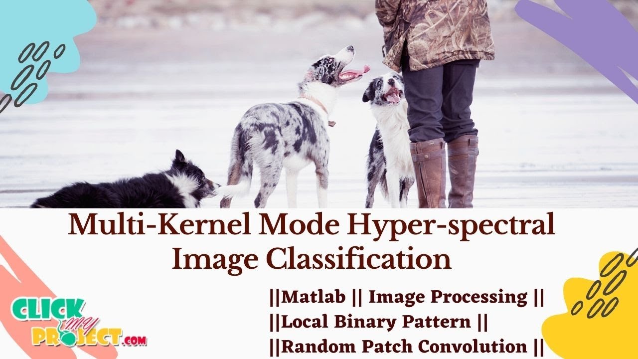 Matlab Image Processing Project - Hyperspectral Image Classification - ClickMyProject