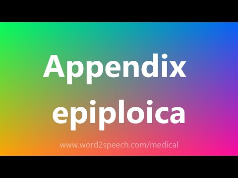 Appendix epiploica - Medical Definition