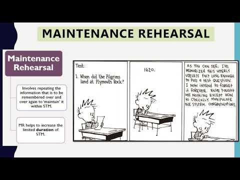 Context & State Dependent Cues, Maintenance & Elaborative Rehearsal and Serial Position Effect