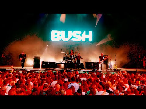 Bush's Gavin Rossdale Recalls Having to Calm Audience Following Korn's ...
