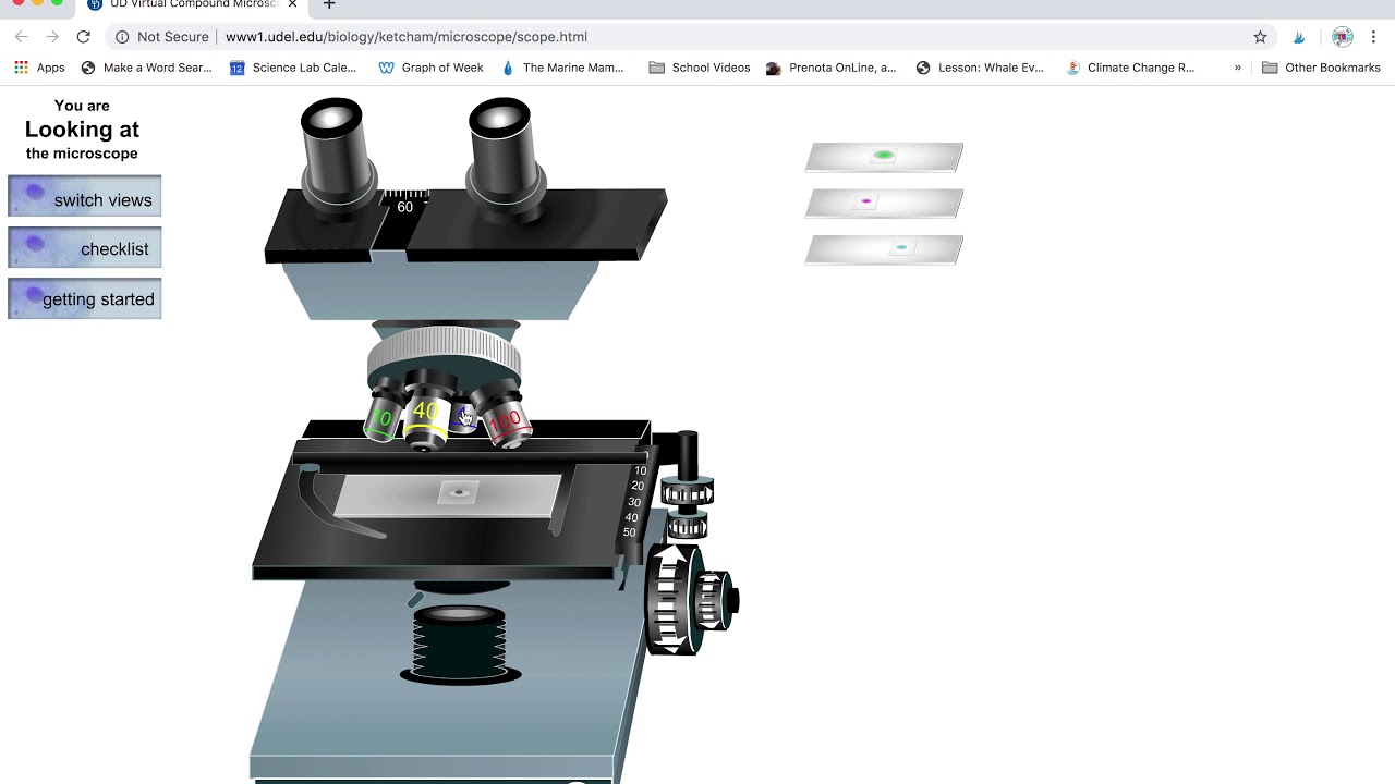 Virtual Microscope Tutorial