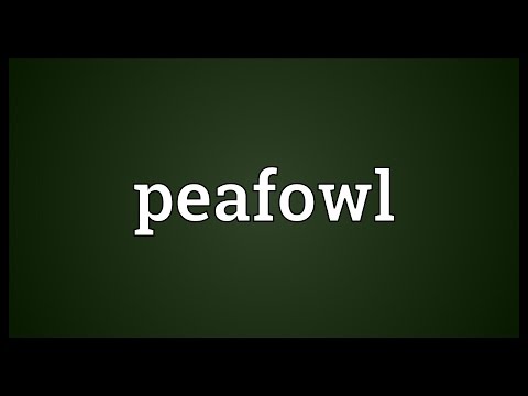 Peafowl Meaning