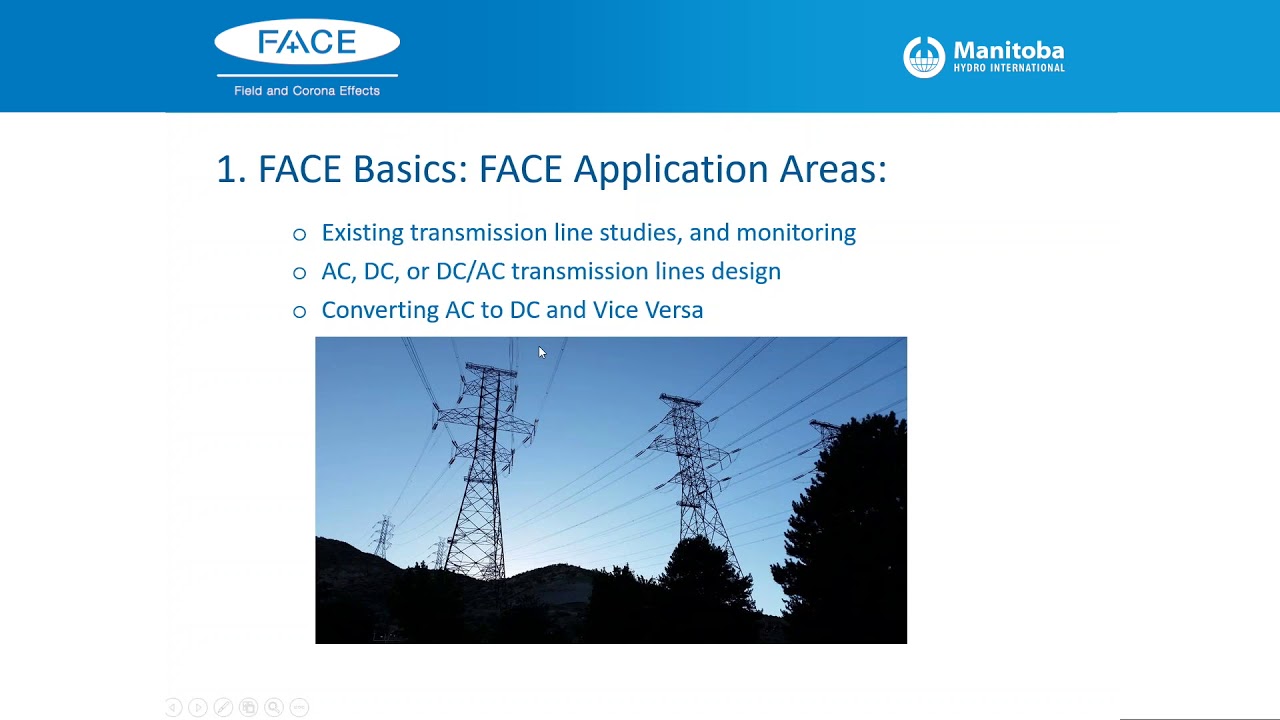 FACE Software Introduction