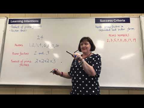 2019 Y7 prime factors and factor trees