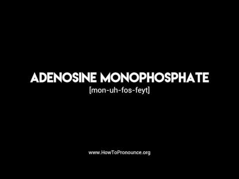 How to Pronounce "adenosine monophosphate"