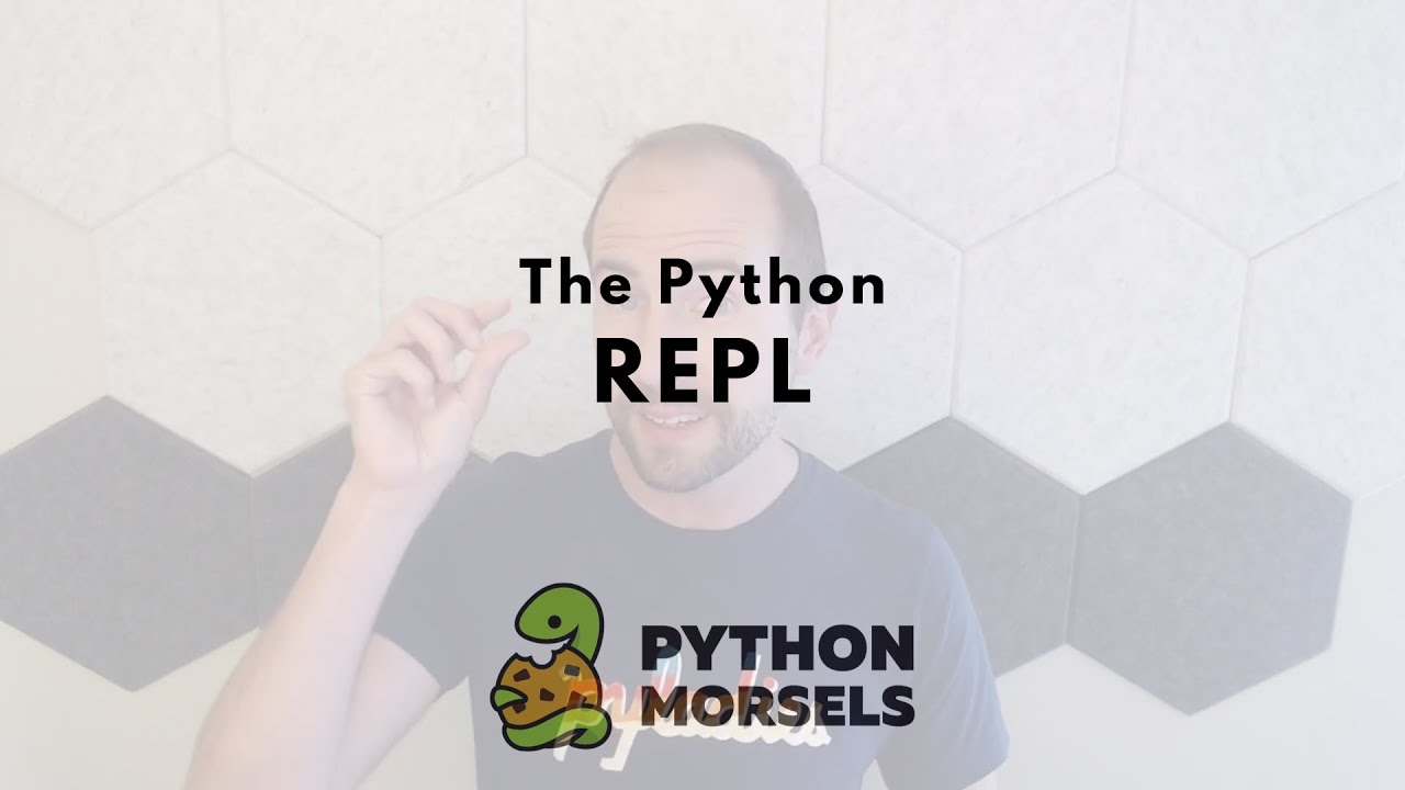 Using the Python REPL