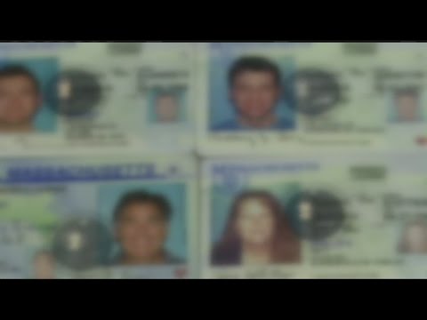 Massachusetts drivers license expiration dates