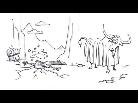 Get An Explainer Video For your Business