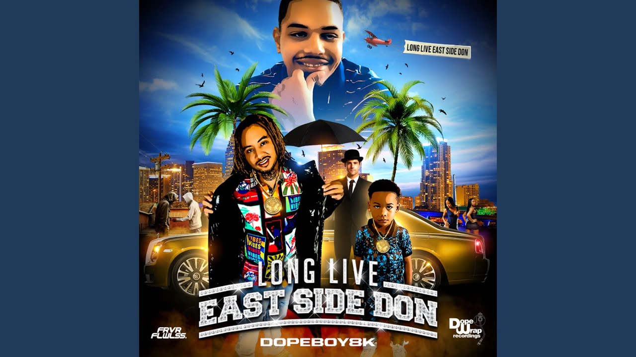 Lights Camera Action