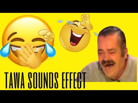 LAUGHING SOUNDS EFFECT | FUNNY VIDEOS | No Copyright