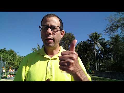 How Are Mosquitoes Getting In My Home and How To Naturally Control Mosquitoes
