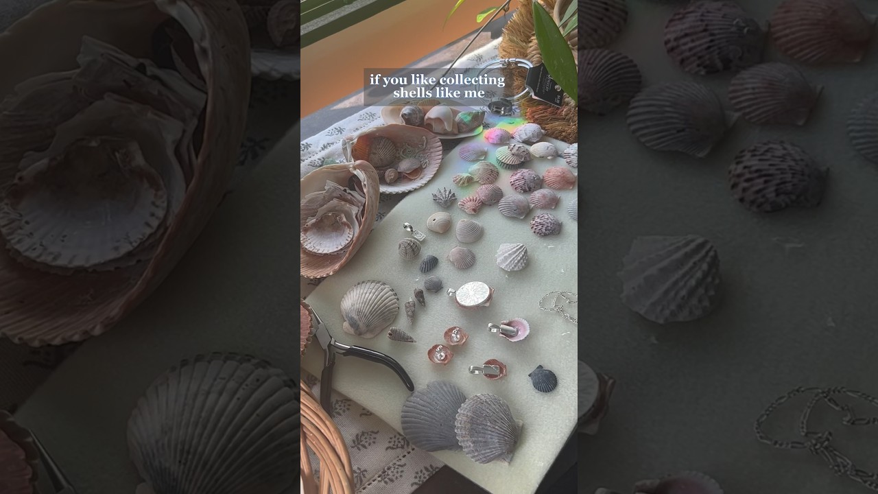 Making shell jewelry: how to 🐚 #shells #shelljewelry #shelling #floridaliving #floridalife
