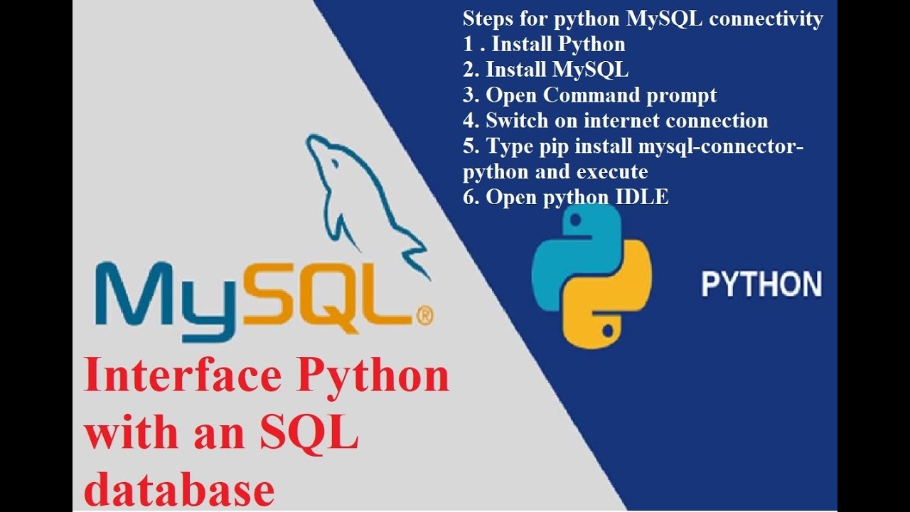 #python #sql #mysql interface  | Class- 12 Computer Science |Interface Python with an SQL database