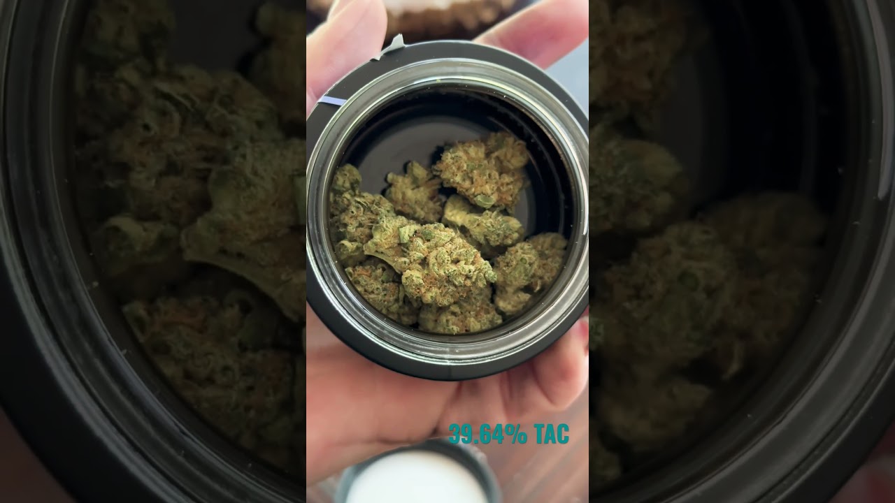 Rythm animal face weighing and testing high. Very Nice 😁🫶🏻🍃 check out our Rythm reviews! 💚