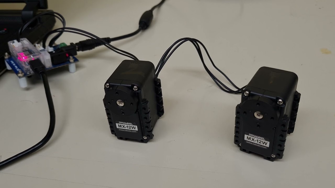 Control of 2 Dynamixel motor using python