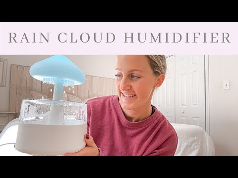 Rain Cloud Humidifier