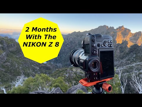 Nikon Z8: First look with samples (1695)