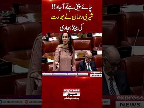 Pahalgam Attack | Chai Peeni Hai Toh Aajao!! | Sherry Rehman Ne Bharat Ki Band Baja Di! | Senate