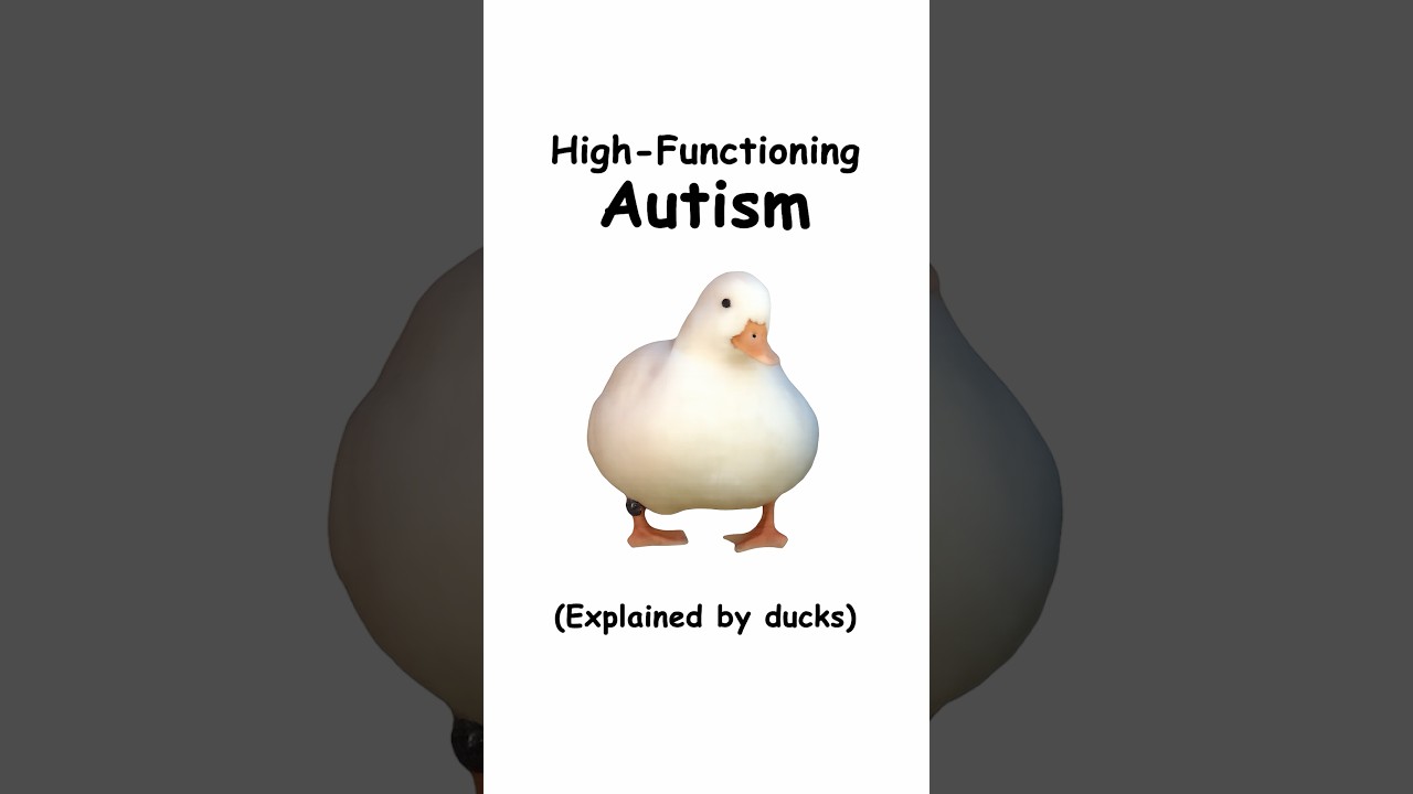 High functioning autism (explained by ducks)