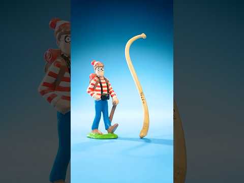 The Largest Animal "Private" Bone