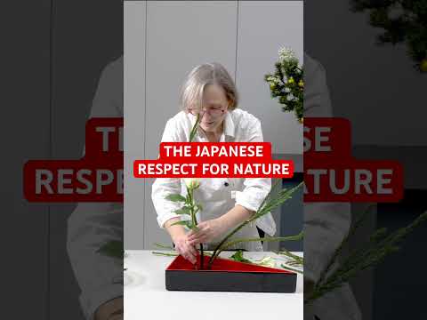 Ikebana, the Japanese art of flower arranging, is an expression of creativity and philosophy.