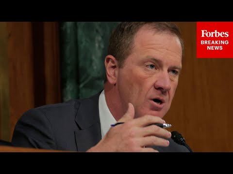 Video | LIVE: Ted Cruz Leads Senate Hearing About 'How Uncle Sam ...