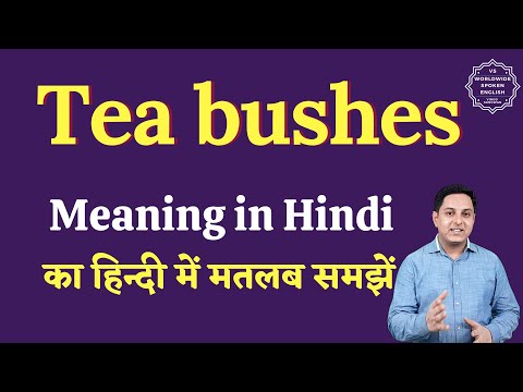 Tea bushes meaning in Hindi | Tea bushes ka matlab kya hota hai | English to hindi