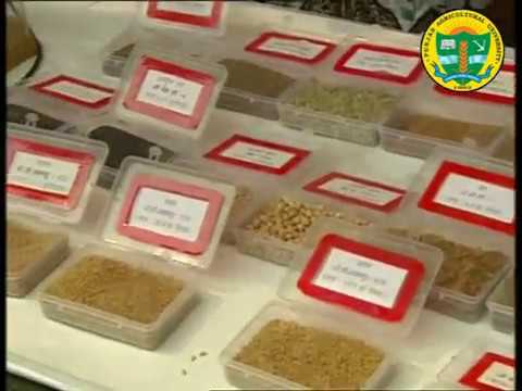 Punjab Agricultural University - PAU Ludhiana Overview 2026