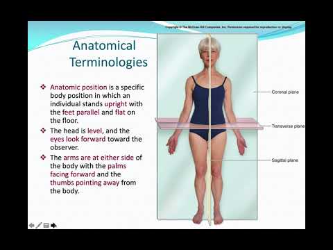 Basic Human Anatomy: introduction of human Anatomy/ Terminology of Anatomy