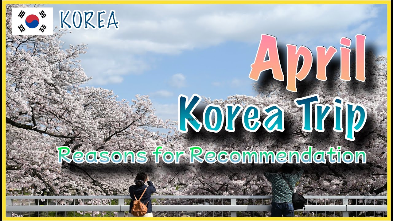 🇰🇷 April Travel Guide to Korea | Reasons to Visit & Things to Watch Out For