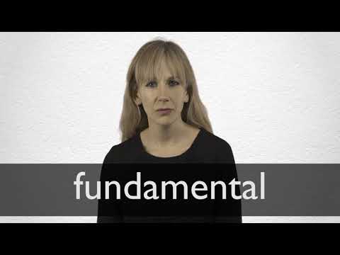 FUNDAMENTAL definition in American English | Collins English Dictionary