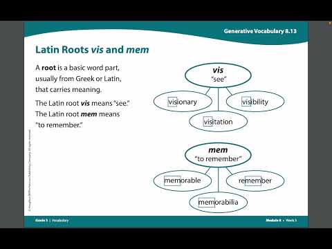 3rd Grade ELA 8.3.3 Latin Roots vis and mem