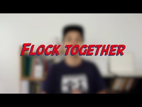 Flock together - W52D5 - Daily Phrasal Verbs - Learn English online free video lessons
