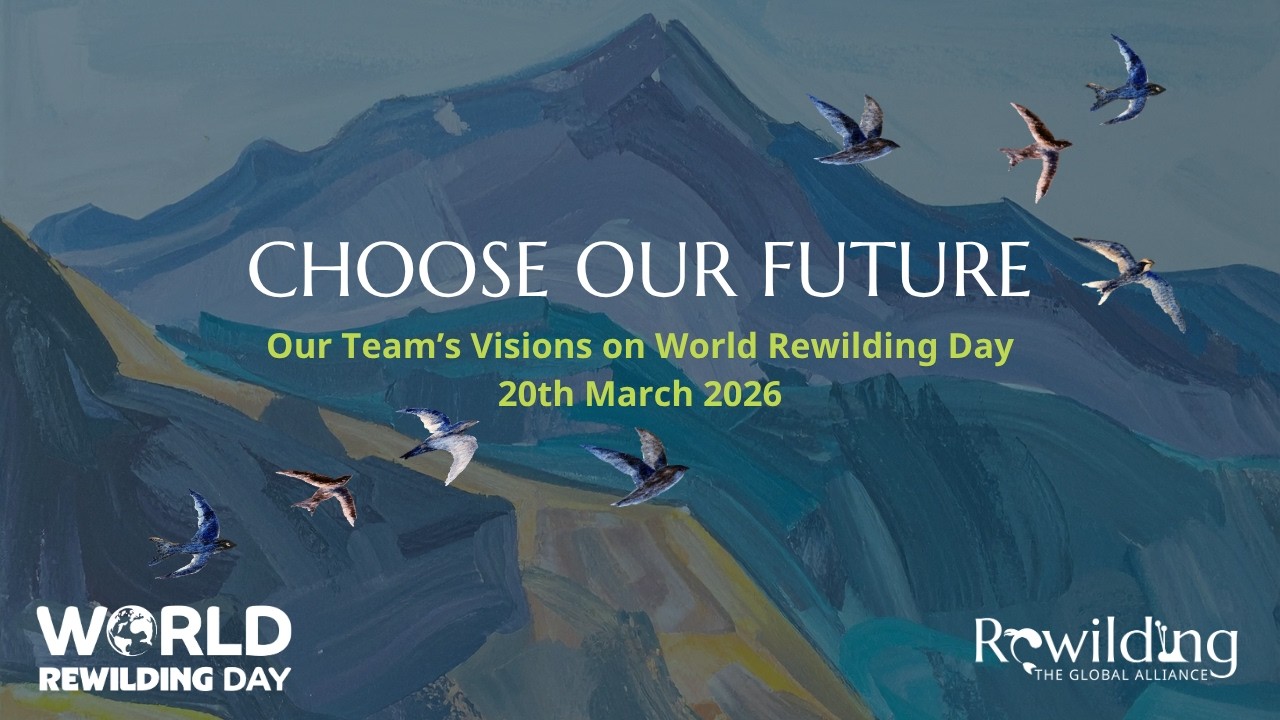 Choose Our Future - our team's visions of a positive future