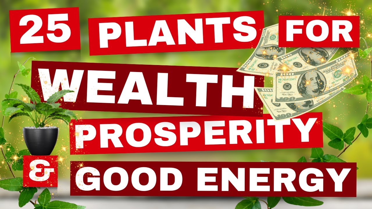 25 Feng Shui Plants That Attract WEALTH, Prosperity, and Good Energy!