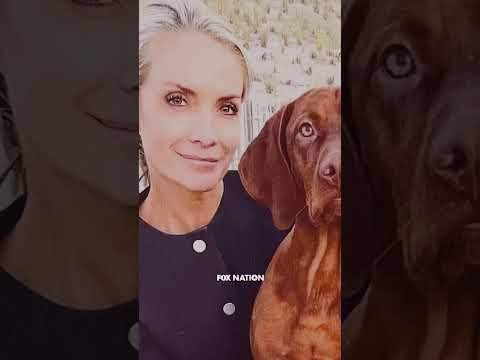 Jesse Watters and Dana Perino compare offices 🤣