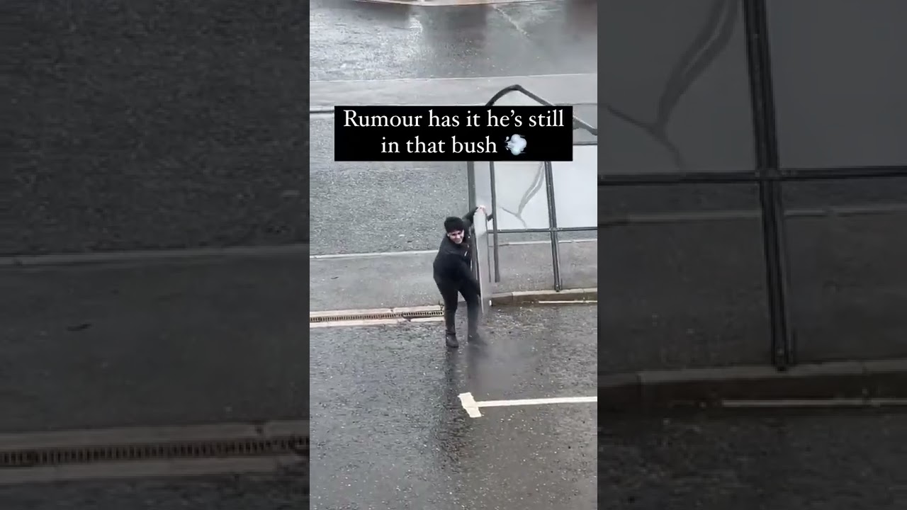 The Homer Simpson bush gif IRL 😂