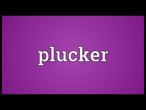 Plucker Meaning