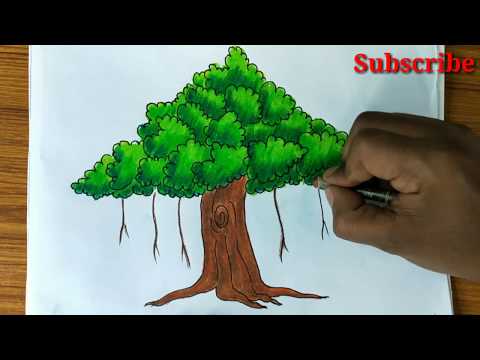 Banyan tree drawing for kids /step by step Banyan tree drawing /How to draw Banyan tree