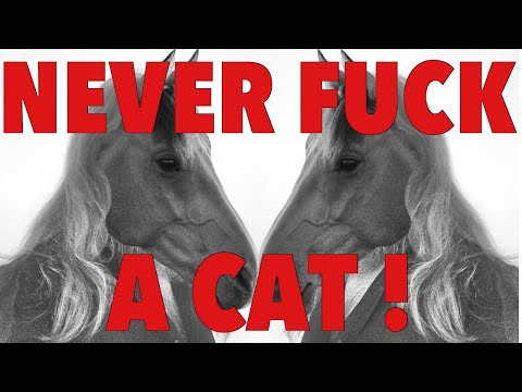 Why I will never fuck a cat - Jeroen Leenders